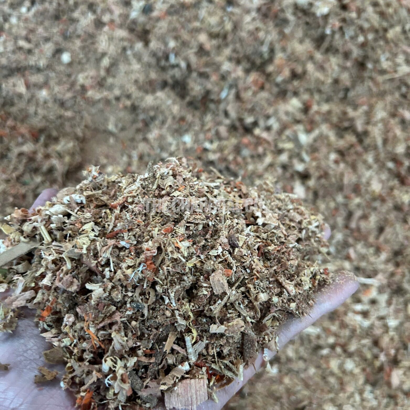 How To Use A Charcoal Grill With Sawdust Charcoal For The Perfect BBQ ...